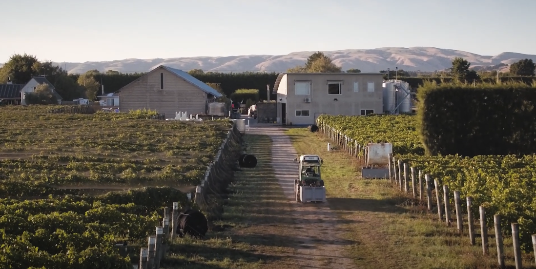 Top Things to Do in Martinborough: Your Ultimate Guide