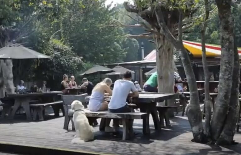 Toad Hall Motueka: Rustic Charm & Culinary Delights